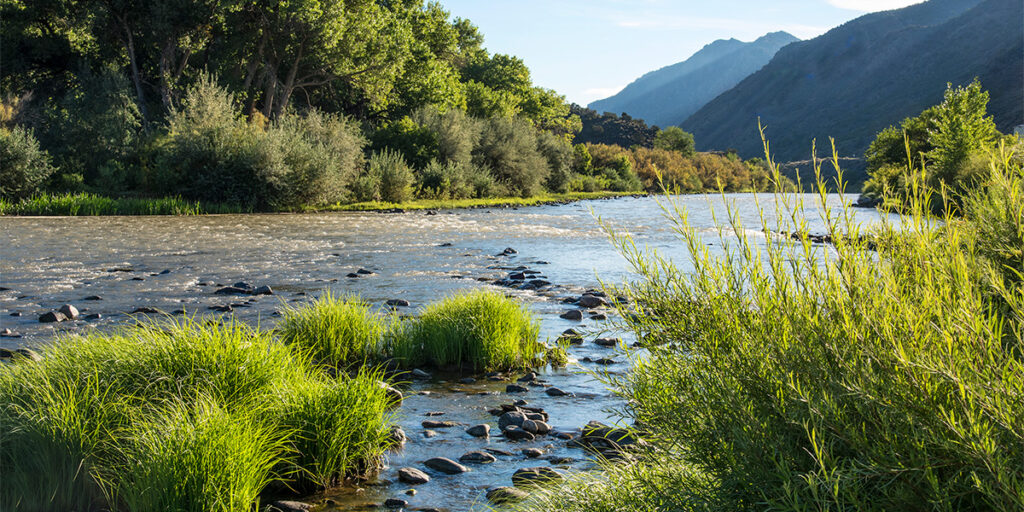 Guide to Pennsylvania Riparian Water Rights - MPL Law Firm